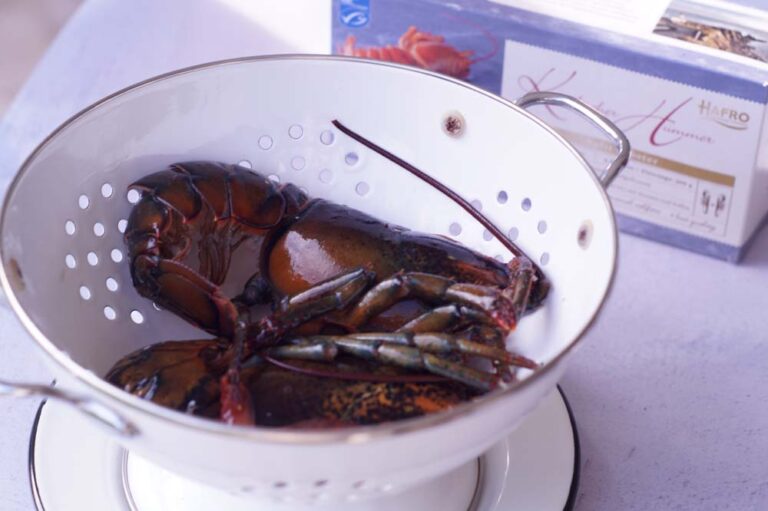 Lobster Rolls (Hummer-Sandwich) | USA kulinarisch