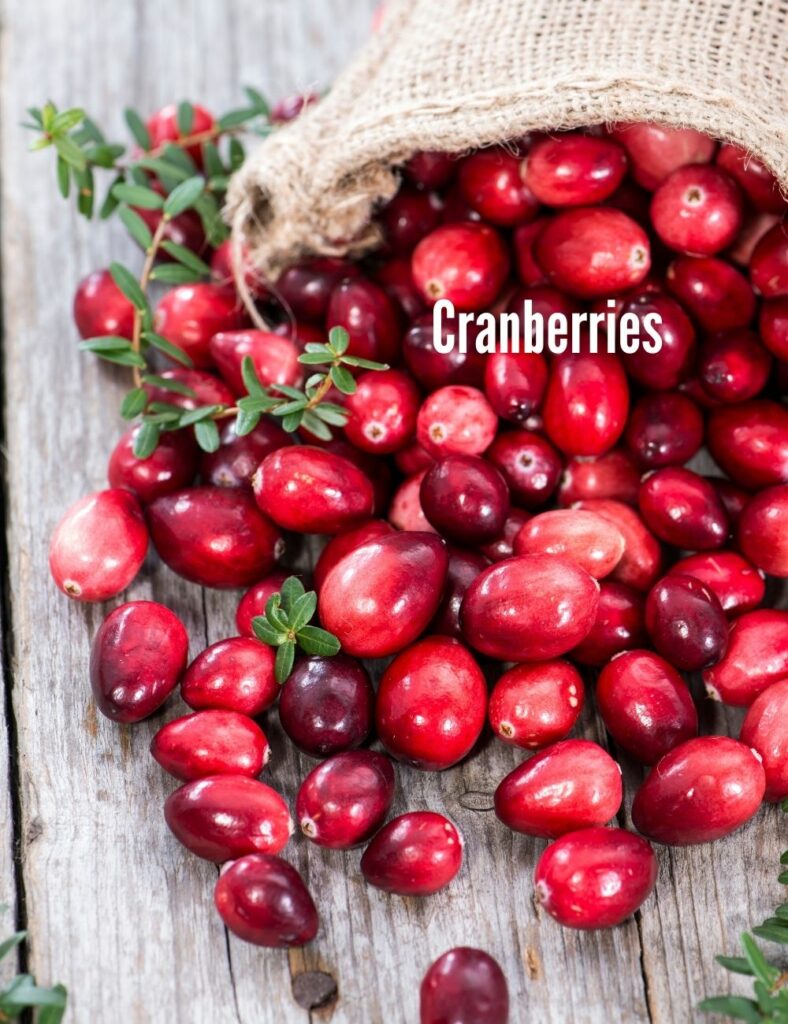Cranberry Sauce (Preisselbeer-Soße) | USA kulinarisch