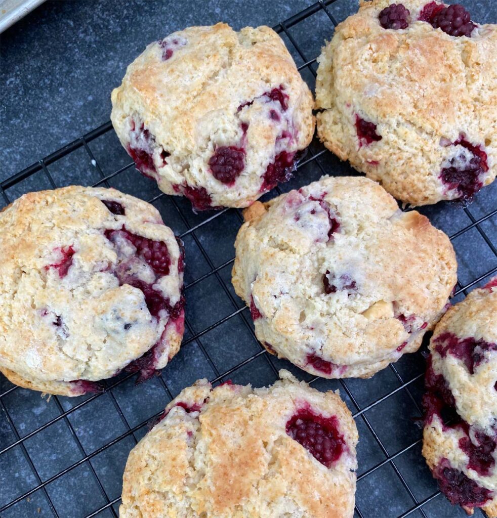 White Chocolate Blackberry Scones | USA kulinarisch